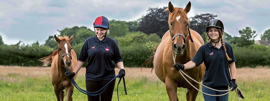 BSc (Hons) in Equine Science at Oxford Brookes University