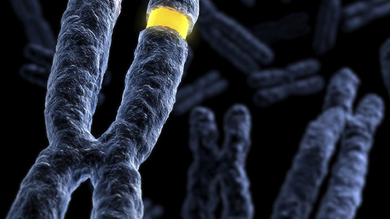 Genetics and Genomics at Oxford Brookes University