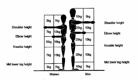Manual Handling (OBUHSN-34) Appendix 2 - Oxford Brookes University