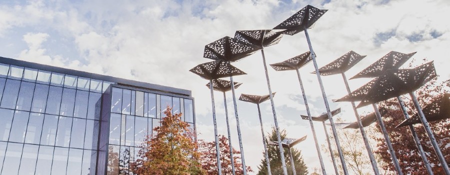 Rain Pavilion - Oxford Brookes University