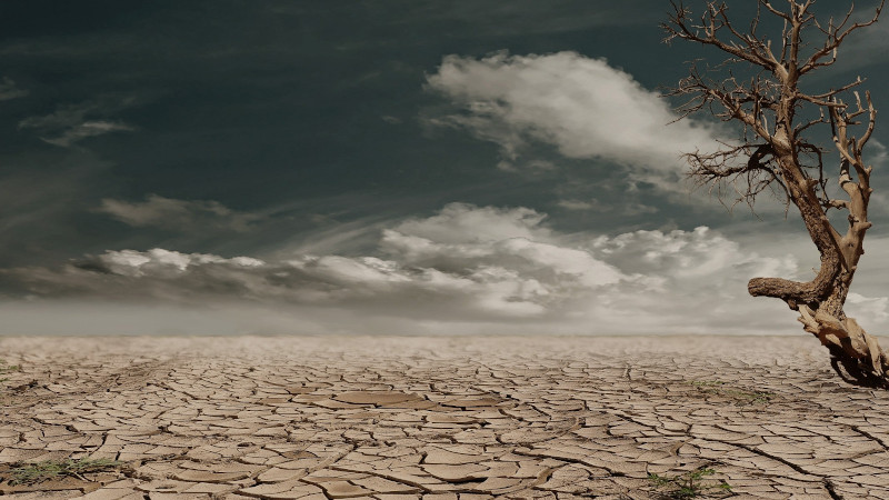 InClimate: Integrating climate resilience in EU higher education at ...